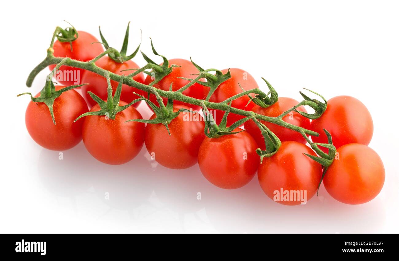 cherry tomato branch isolated on white background Stock Photo - Alamy