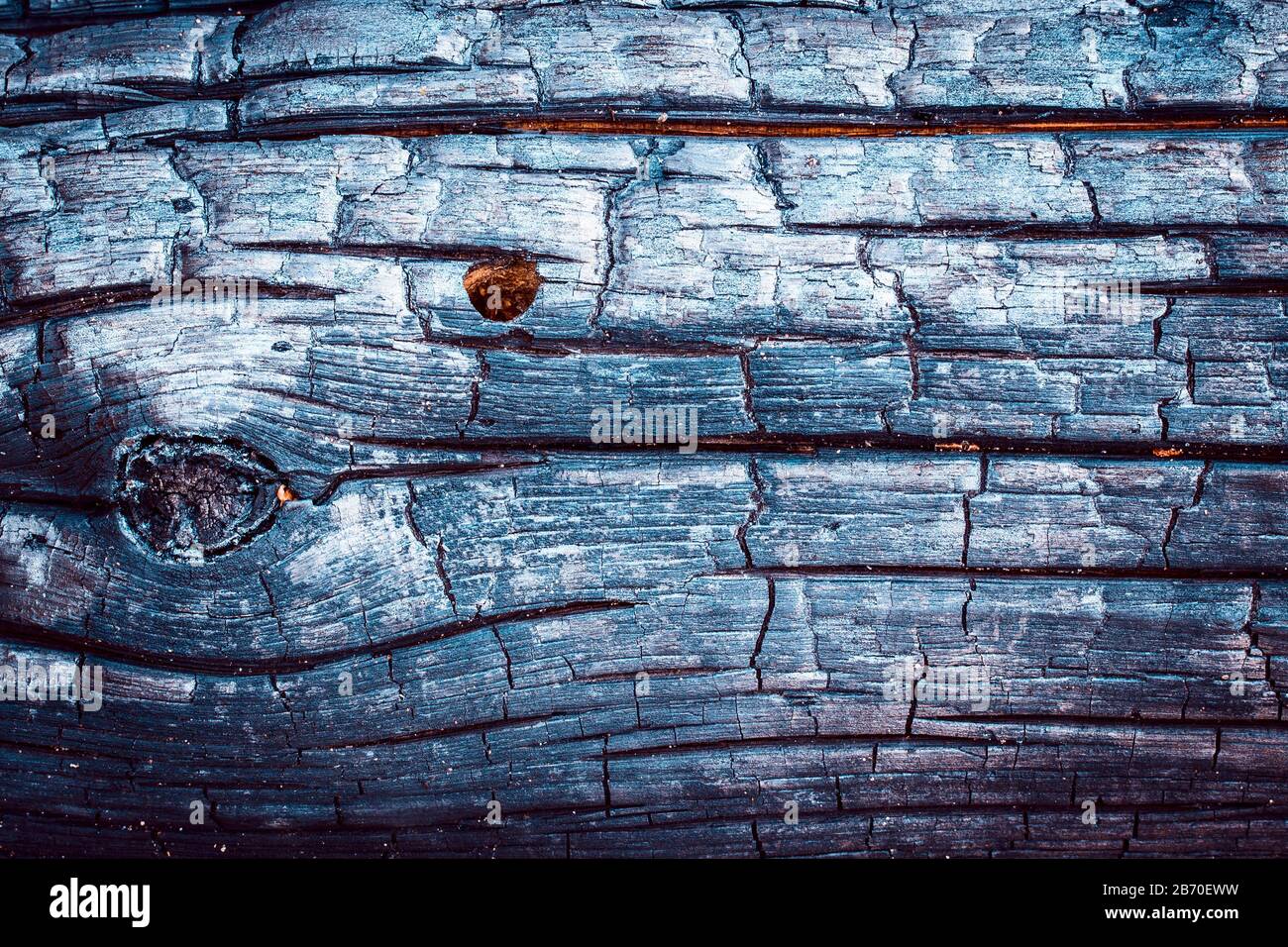 bright wood texture that glows inside a beautiful natural background ...