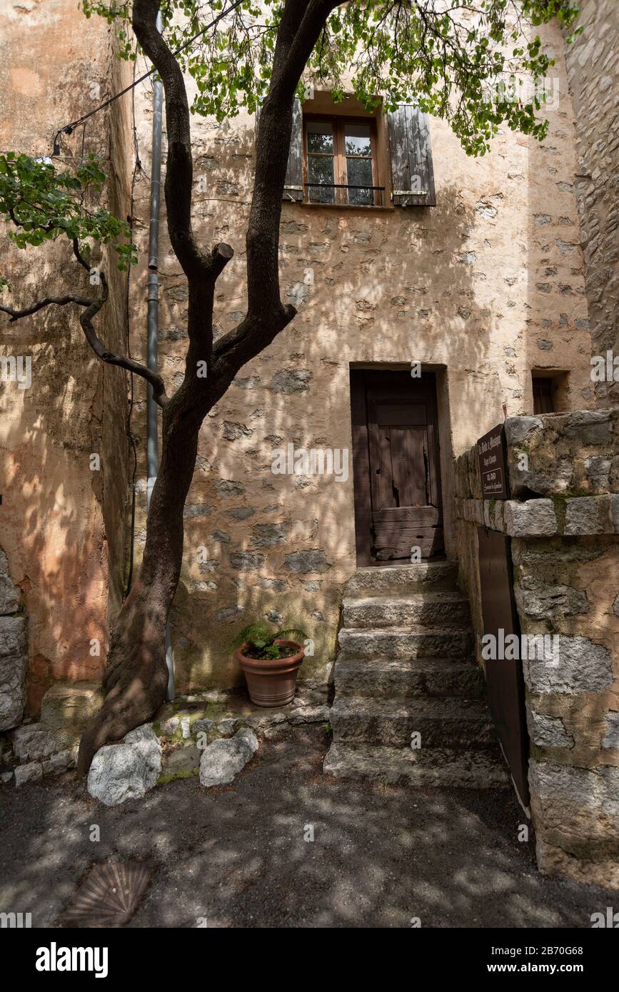 Tree with doorway hi-res stock photography and images - Alamy