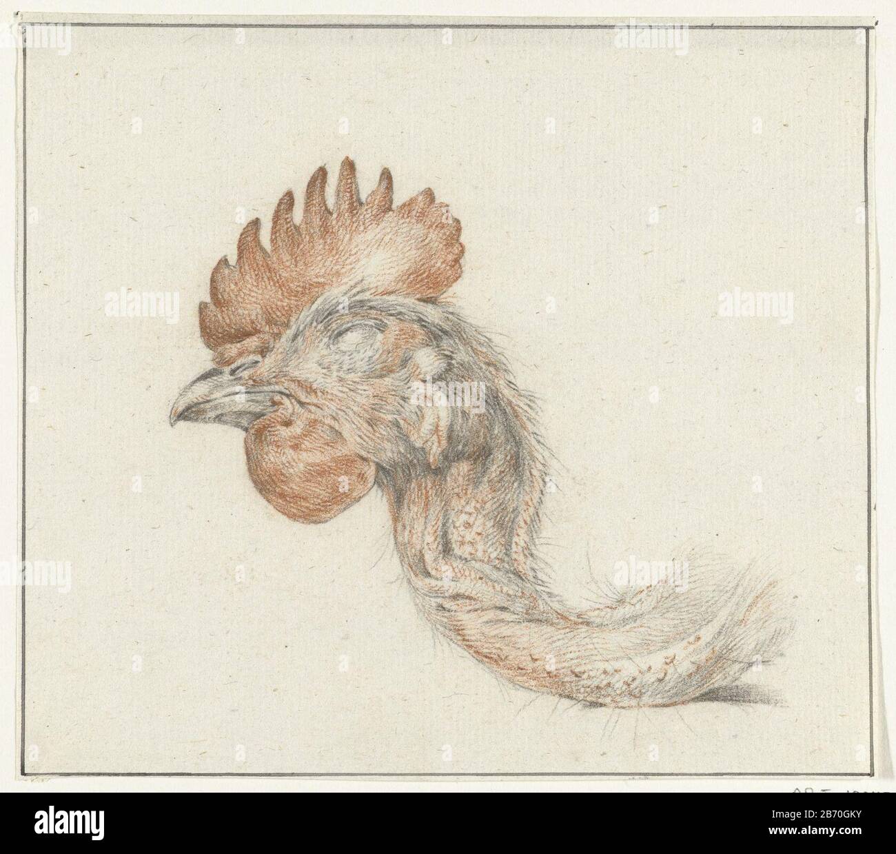 Kop van een dode kip Head of a dead kip Object Type : Drawing Object ...