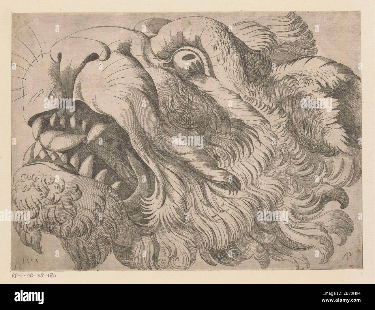 Kop van een leeuw Head of a lion object type: picture Item number: RP-P ...