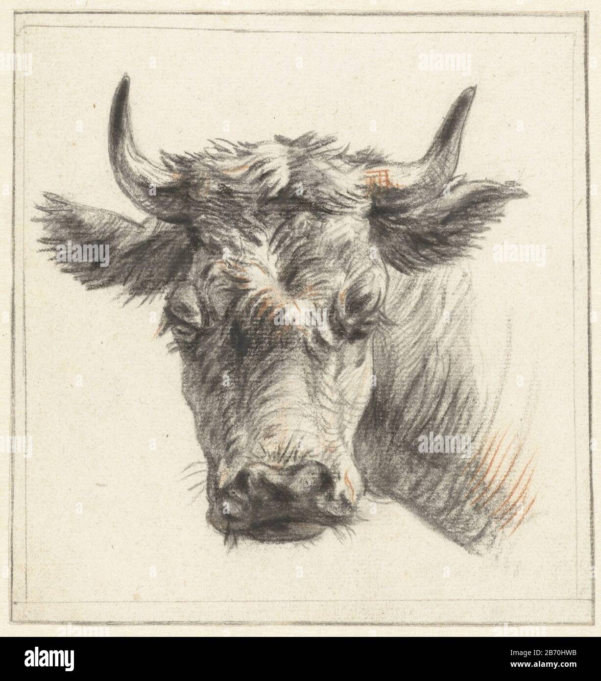 Kop van een rund Head of a cow object type: Drawing Object number: RP-T ...