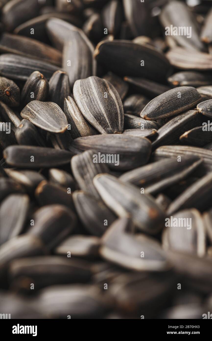 Sunflower seeds in the shell, Soft contrast. Texture, high detail. In ...