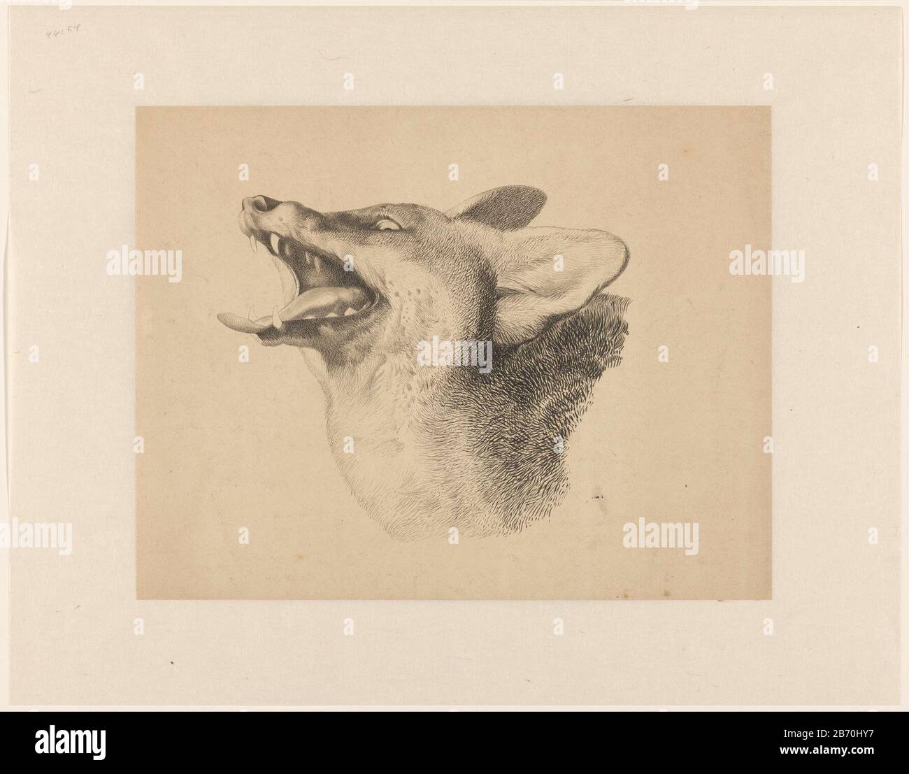 Joseph mendes da costa 1806 1893 hi-res stock photography and images ...