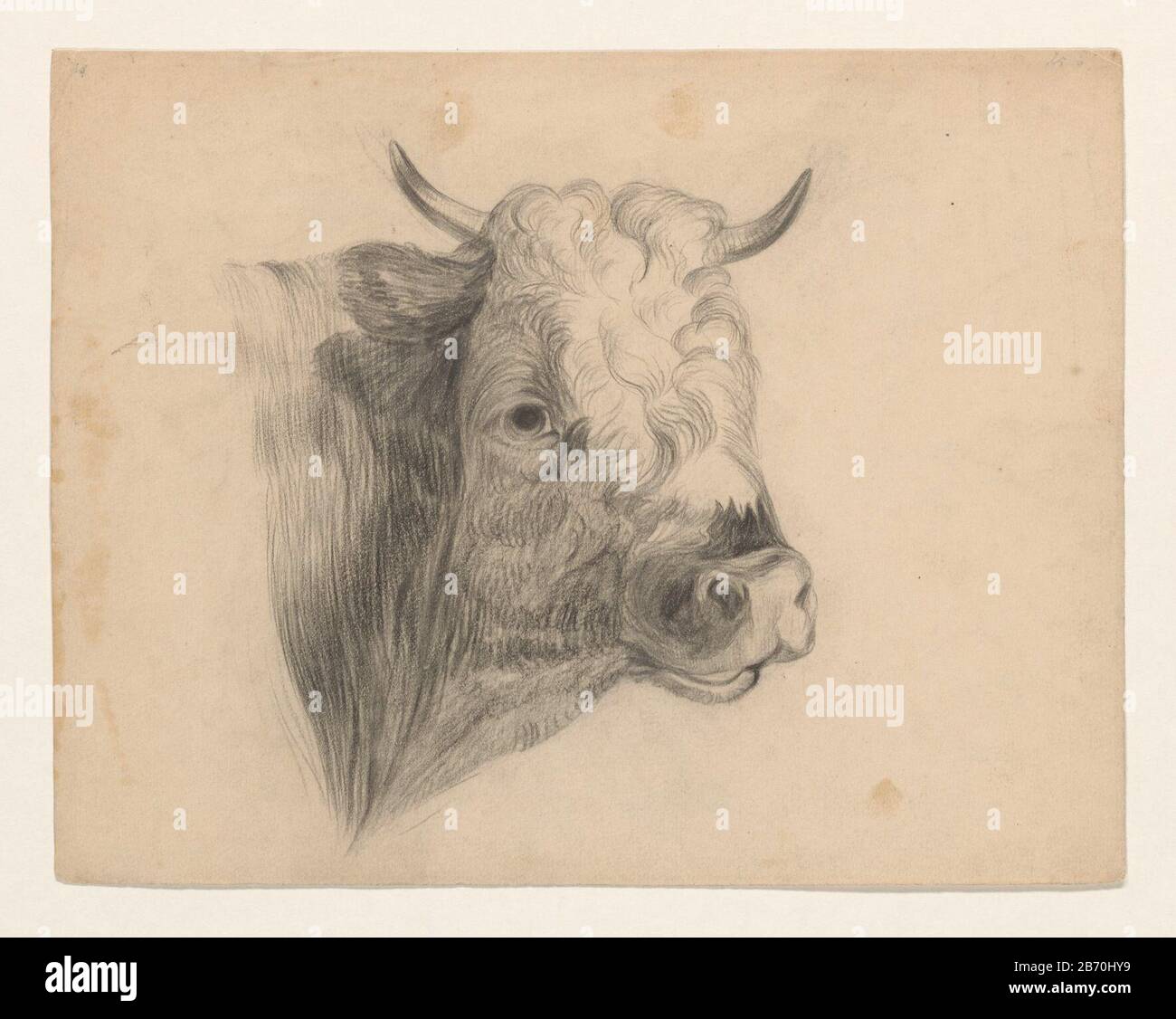 305 mm hi-res stock photography and images - Alamy
