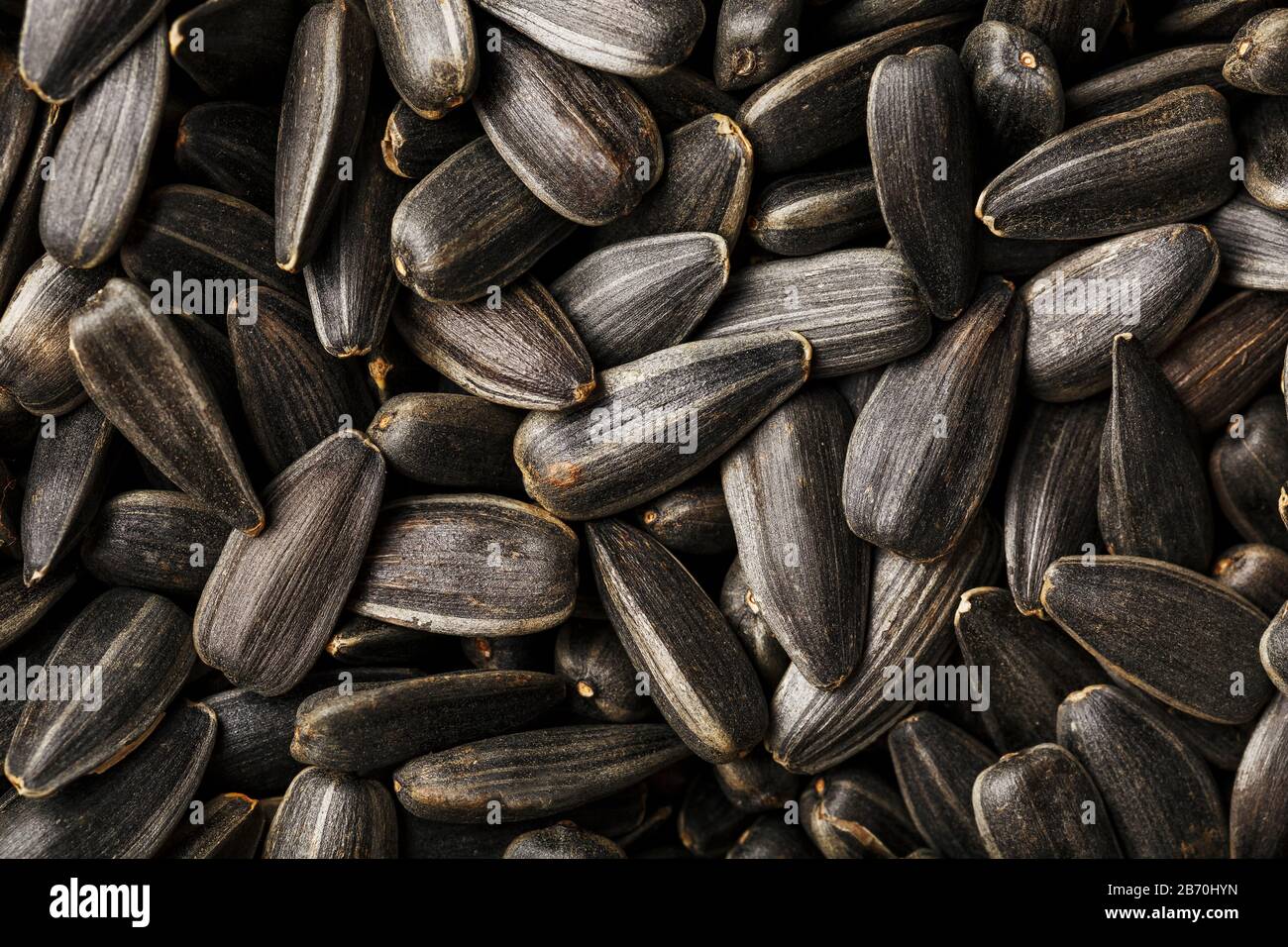 Seeds in a black shell as a background and texture, high detail. In ...