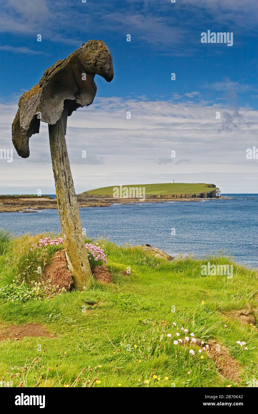 Birsay Orkney Whalebone High Resolution Stock Photography and Images ...