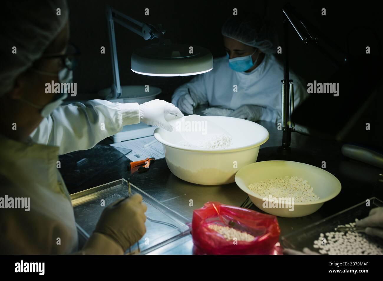 Pharmaceutical laboratory workers hi-res stock photography and images ...