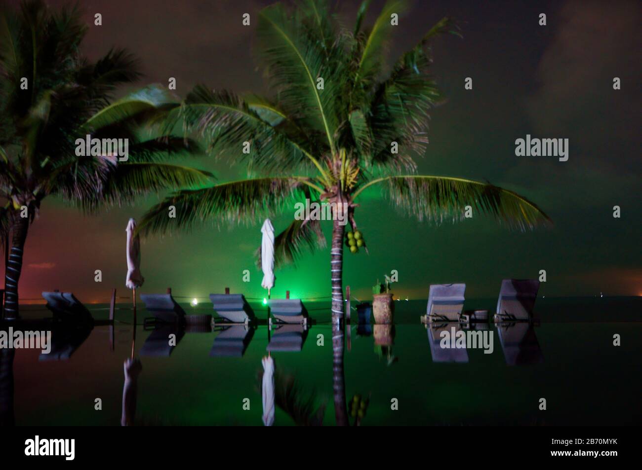 Night time palm tree pool Stock Photo - Alamy