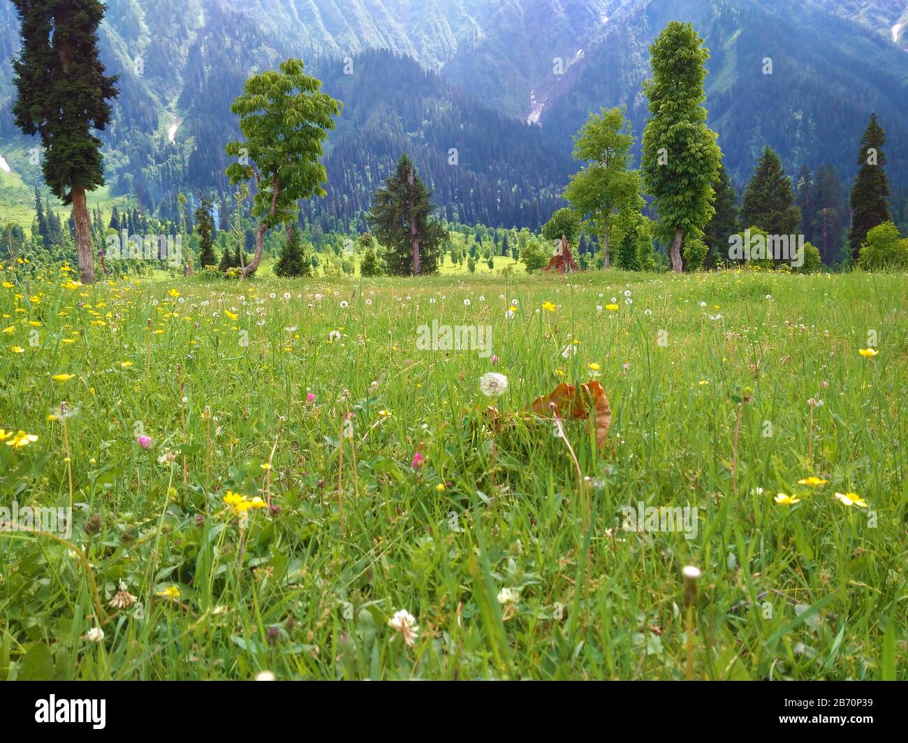 Amazing green valley landscapes Stock Photo - Alamy