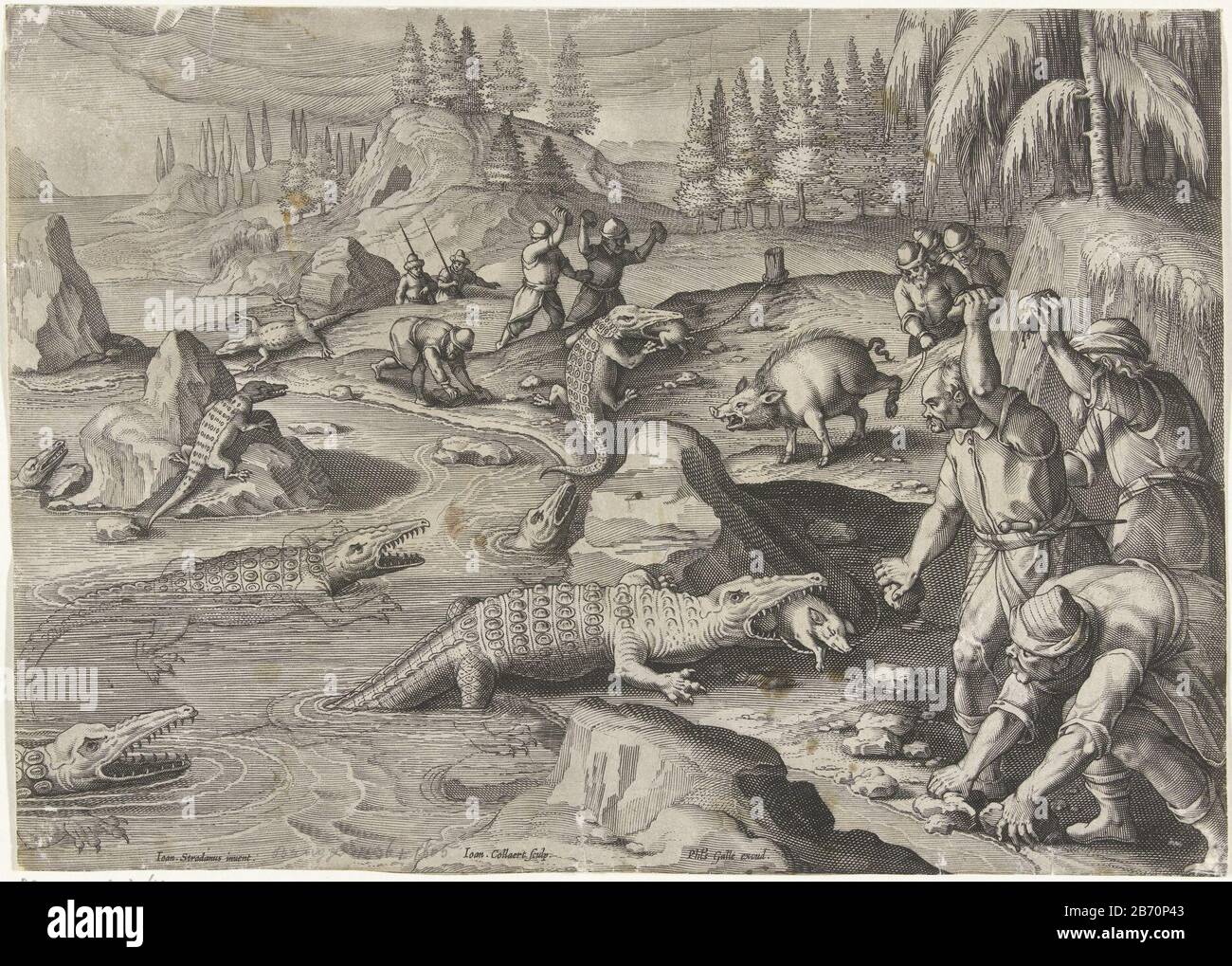 Venationes print series hi-res stock photography and images - Alamy