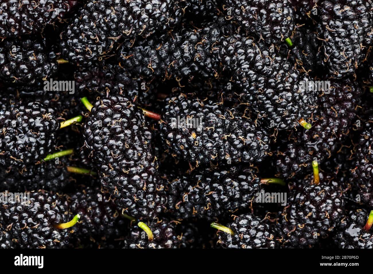 Ripe and fresh fruit of black mulberry, healthy food of juicy mulberry ...
