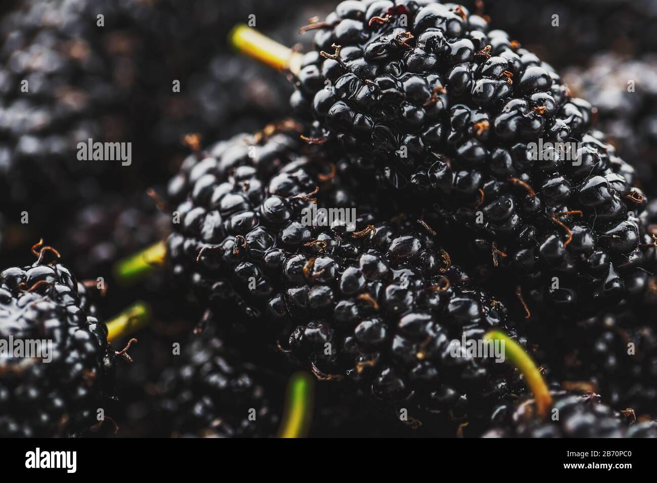 Ripe and fresh fruit of black mulberry, healthy food of juicy mulberry ...