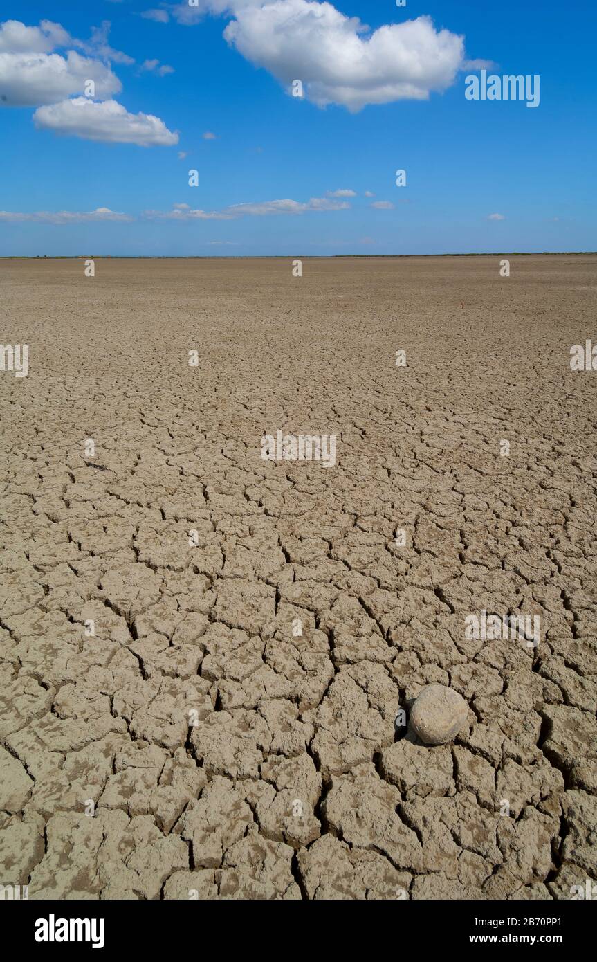 Dried mudflats looking like desert in Camargue, France Stock Photo - Alamy