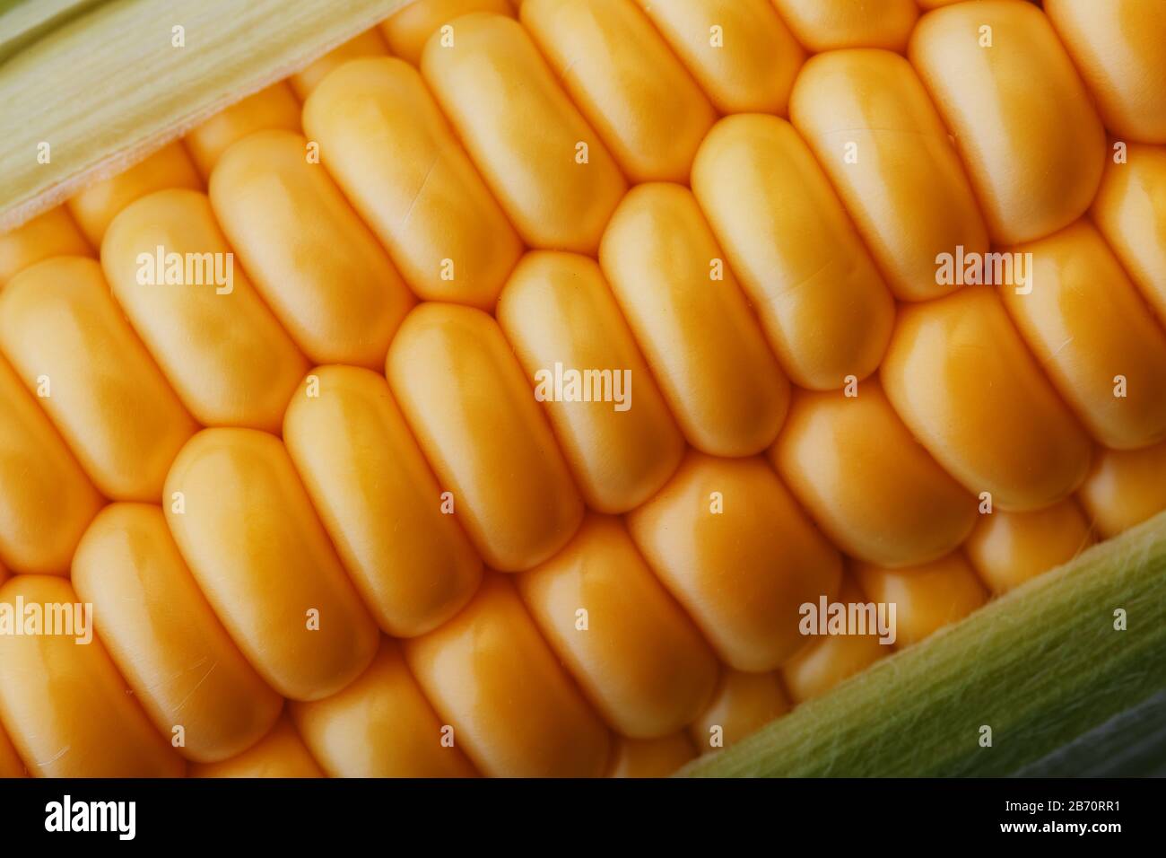 Ripe grains of golden corn closeup, harvest season, healthy organic ...