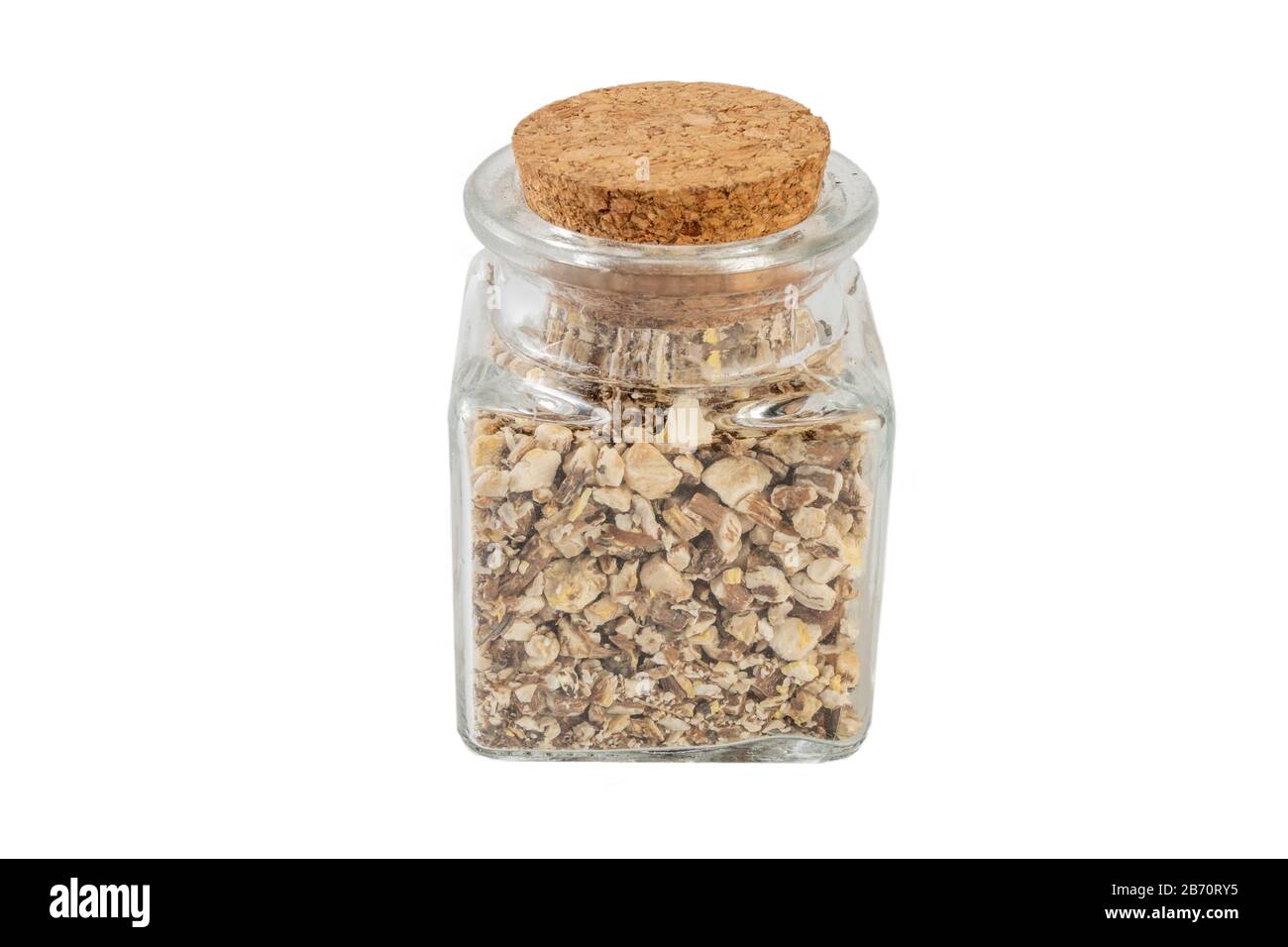 dandelion root or in latin Taraxaci radix in a glass jar isolated on ...
