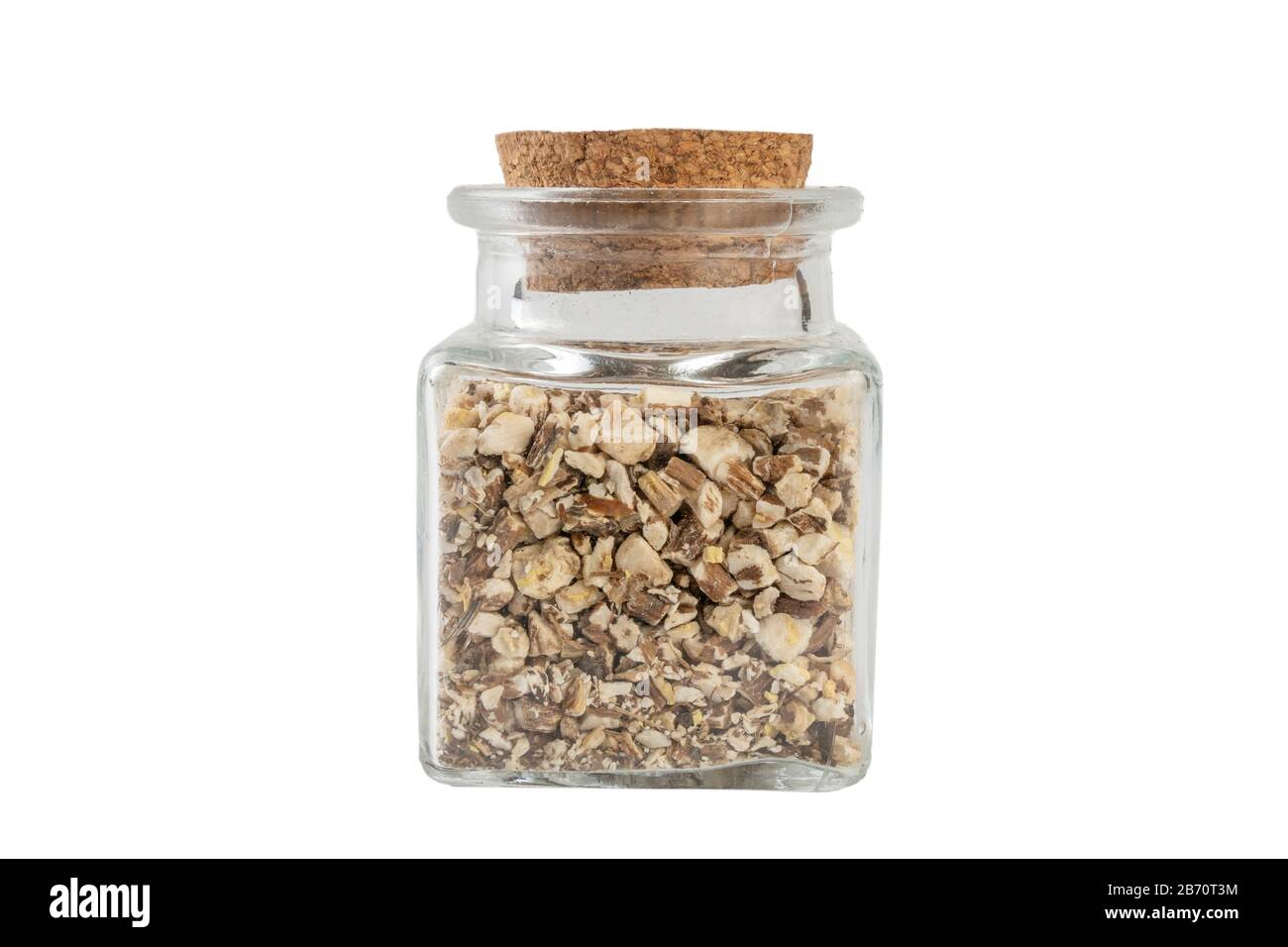 dandelion root or in latin Taraxaci radix in a glass jar isolated on ...