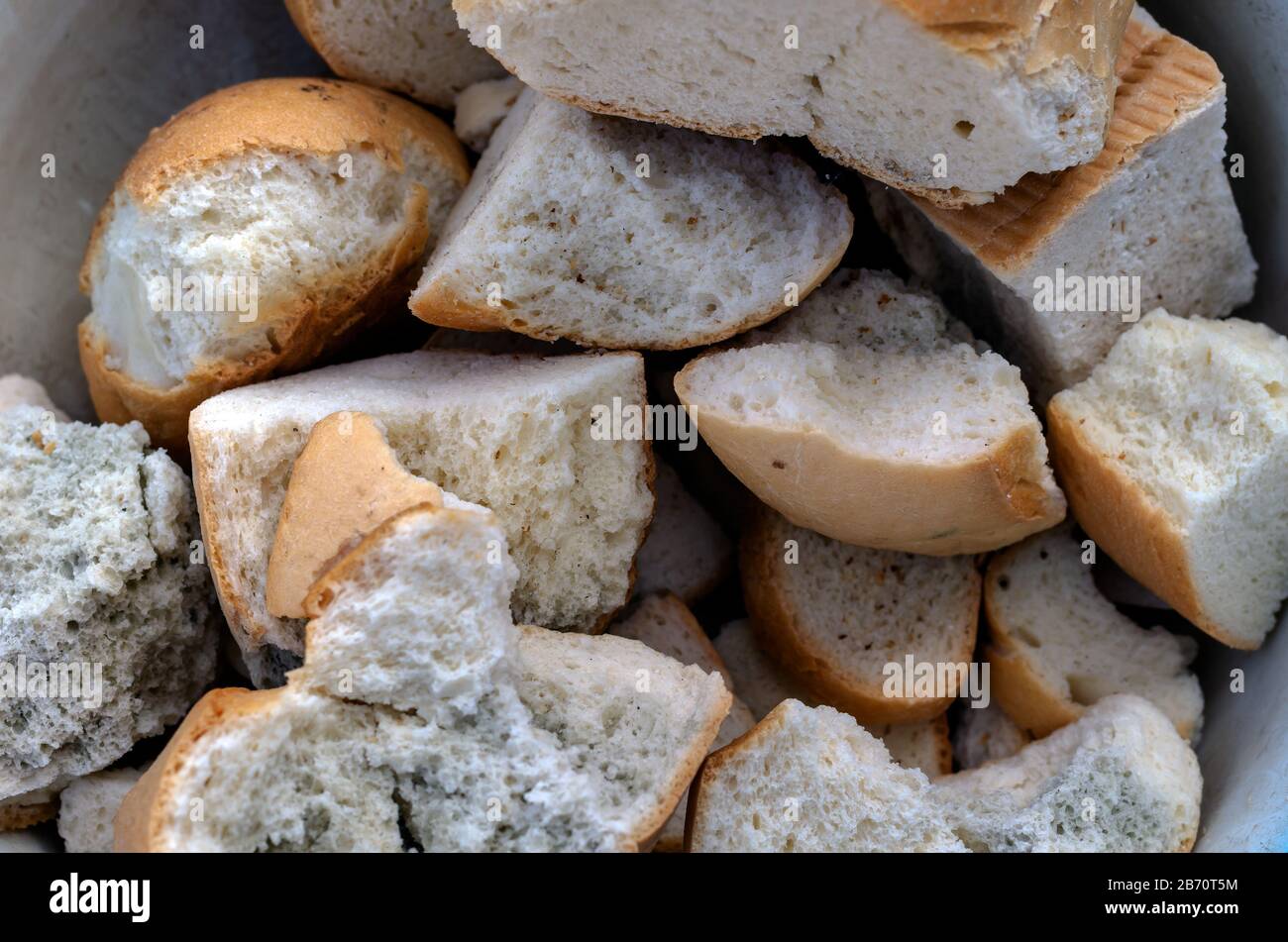 Pieces of bread with mold background. Pieces of spoiled white bread ...