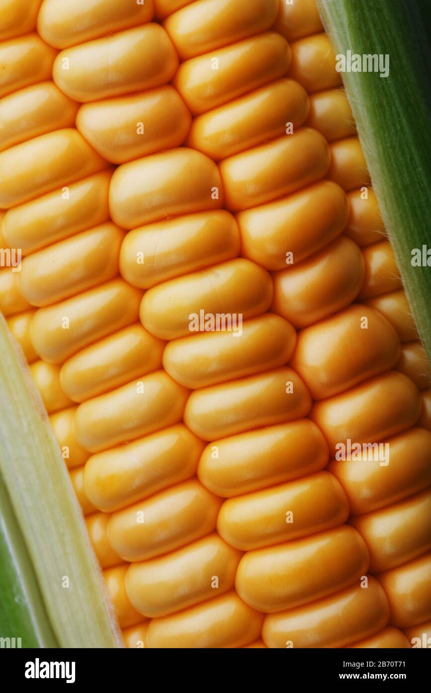 Wallpaper sweetcorn hi-res stock photography and images - Alamy