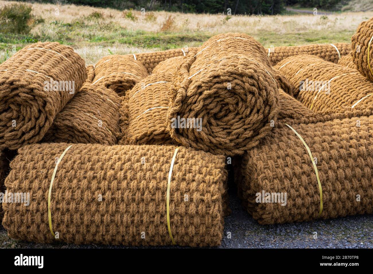Batch Woven Carpet Roll. Strip and Running Road Covers Outside on the ...
