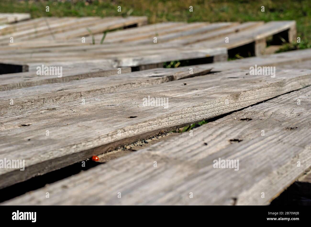 Old wooden pallets on the ground closeup. Empty pallets outdoors ...
