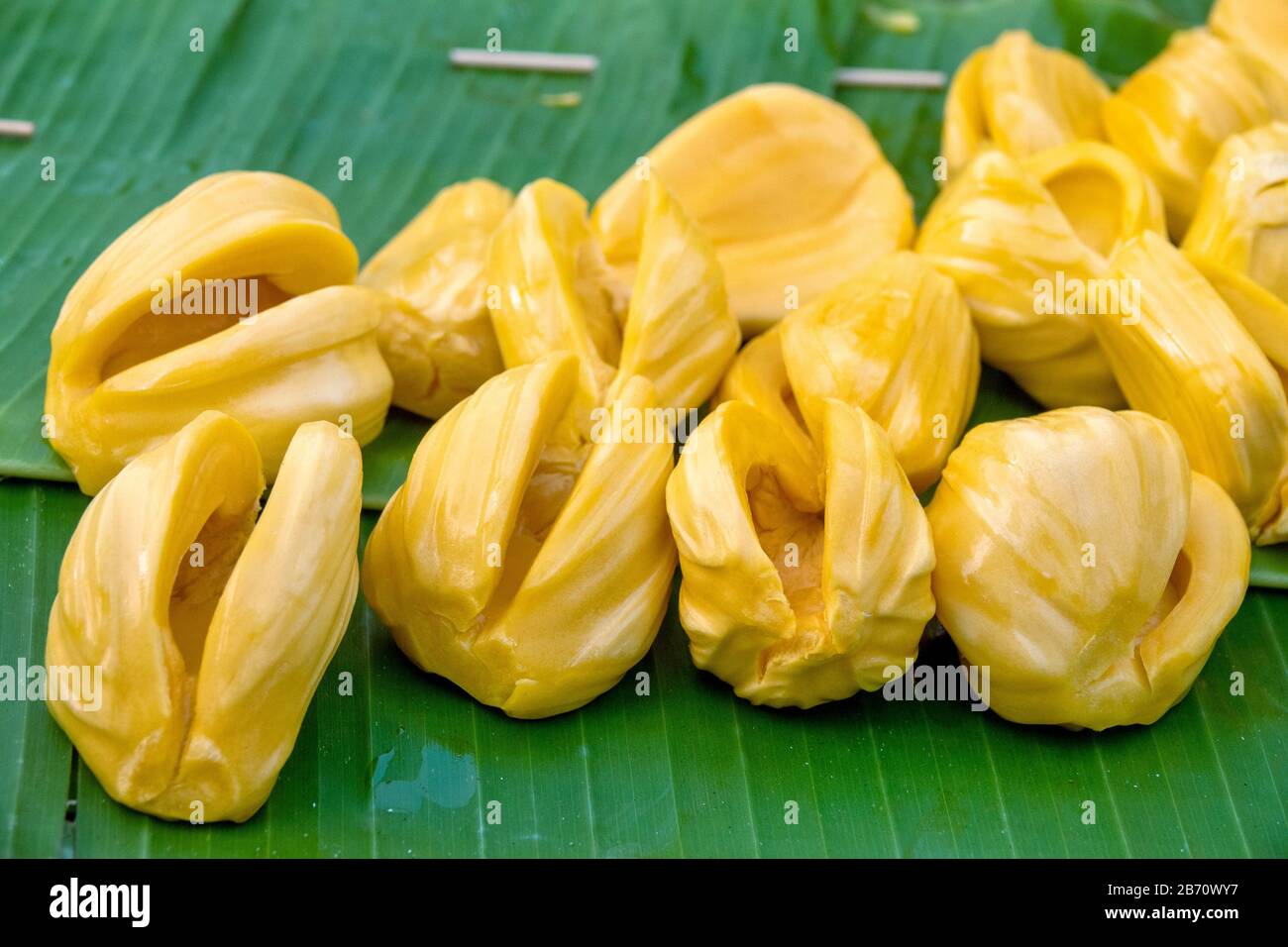 Jackfruit (Artocarpus heterophyllus) flesh on a banana leaf Stock Photo ...