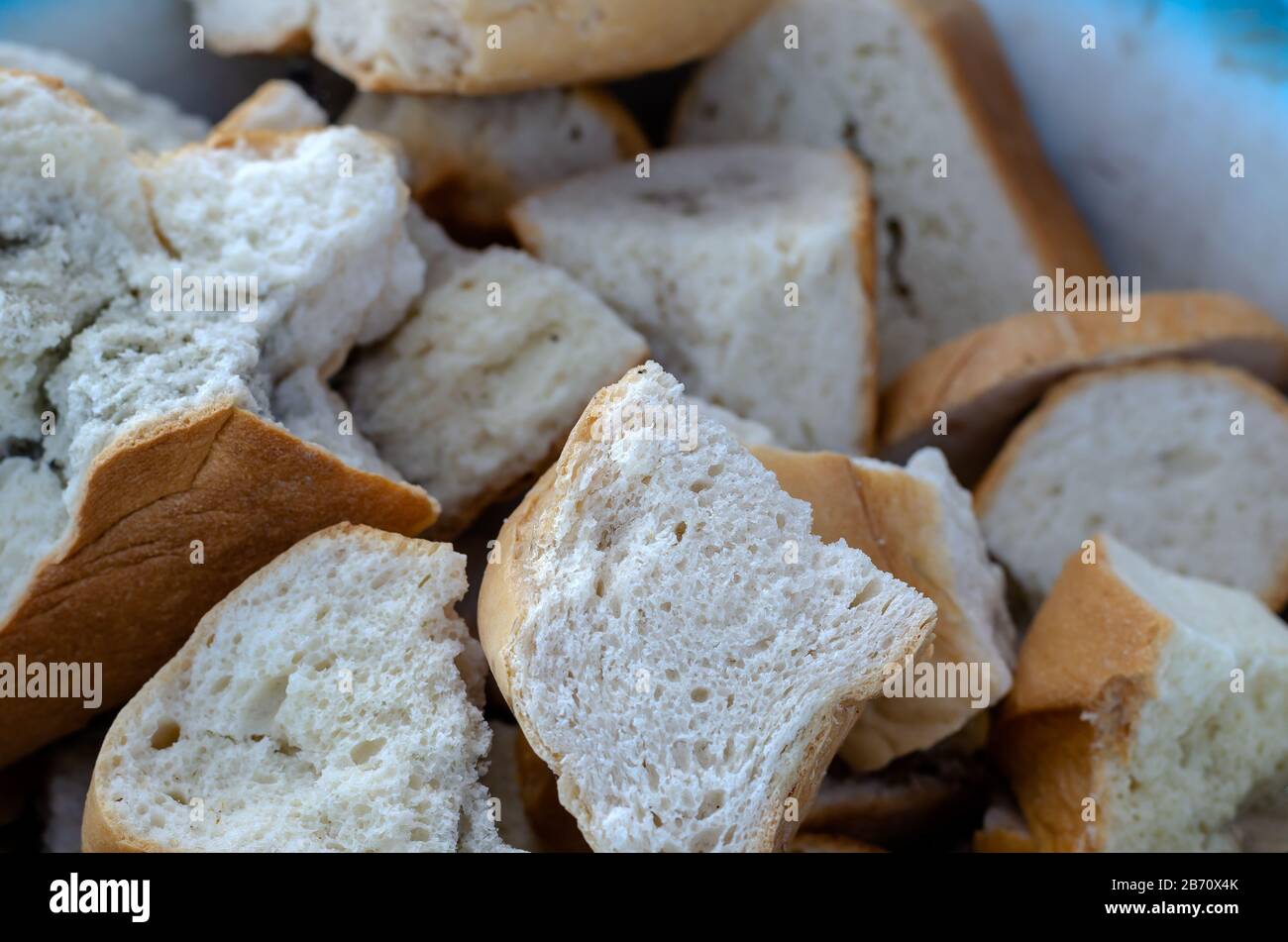 Dry slices of wheat bread with mold. Large pieces of spoiled bread ...