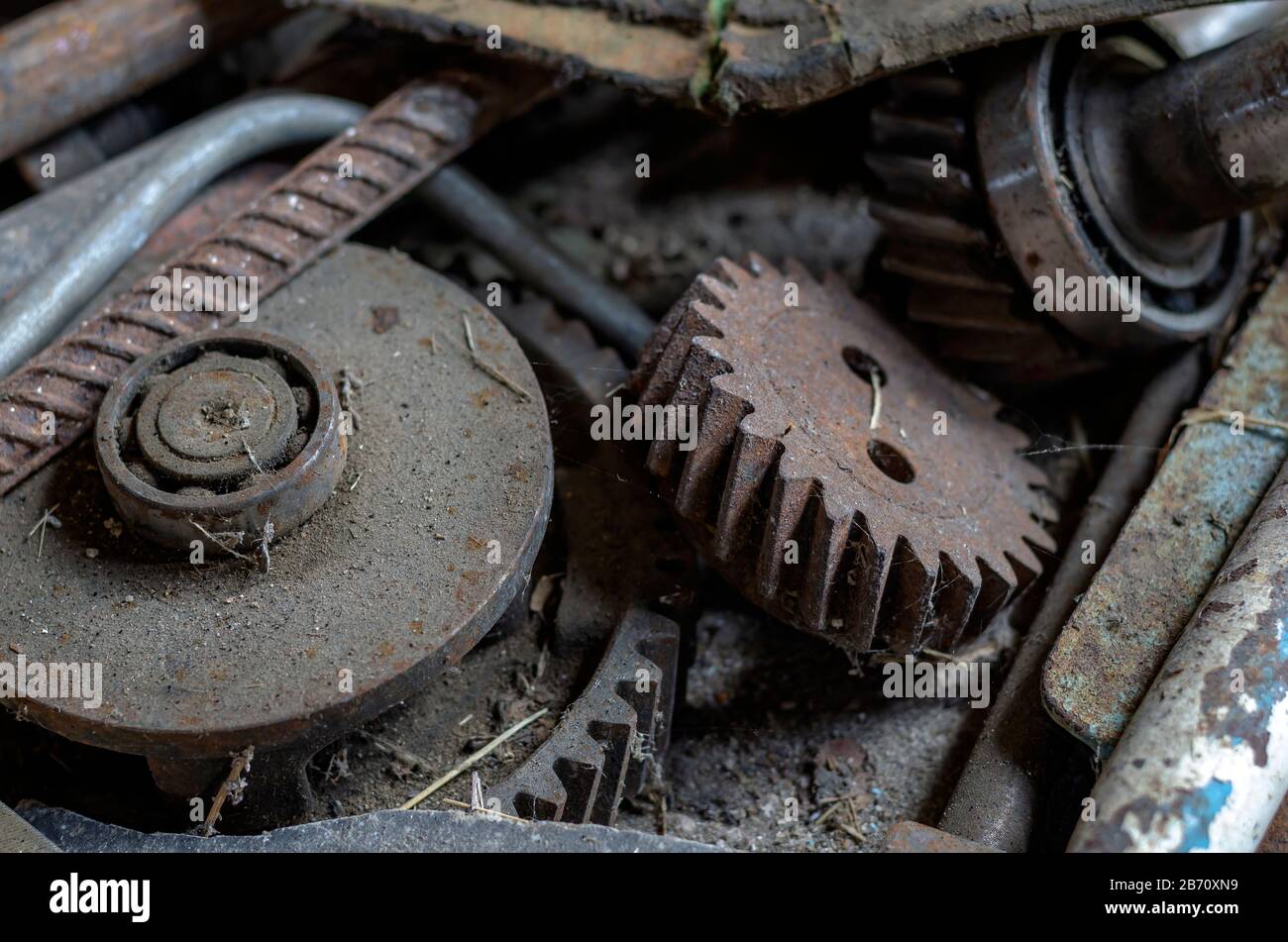 Eye gears hi-res stock photography and images - Alamy