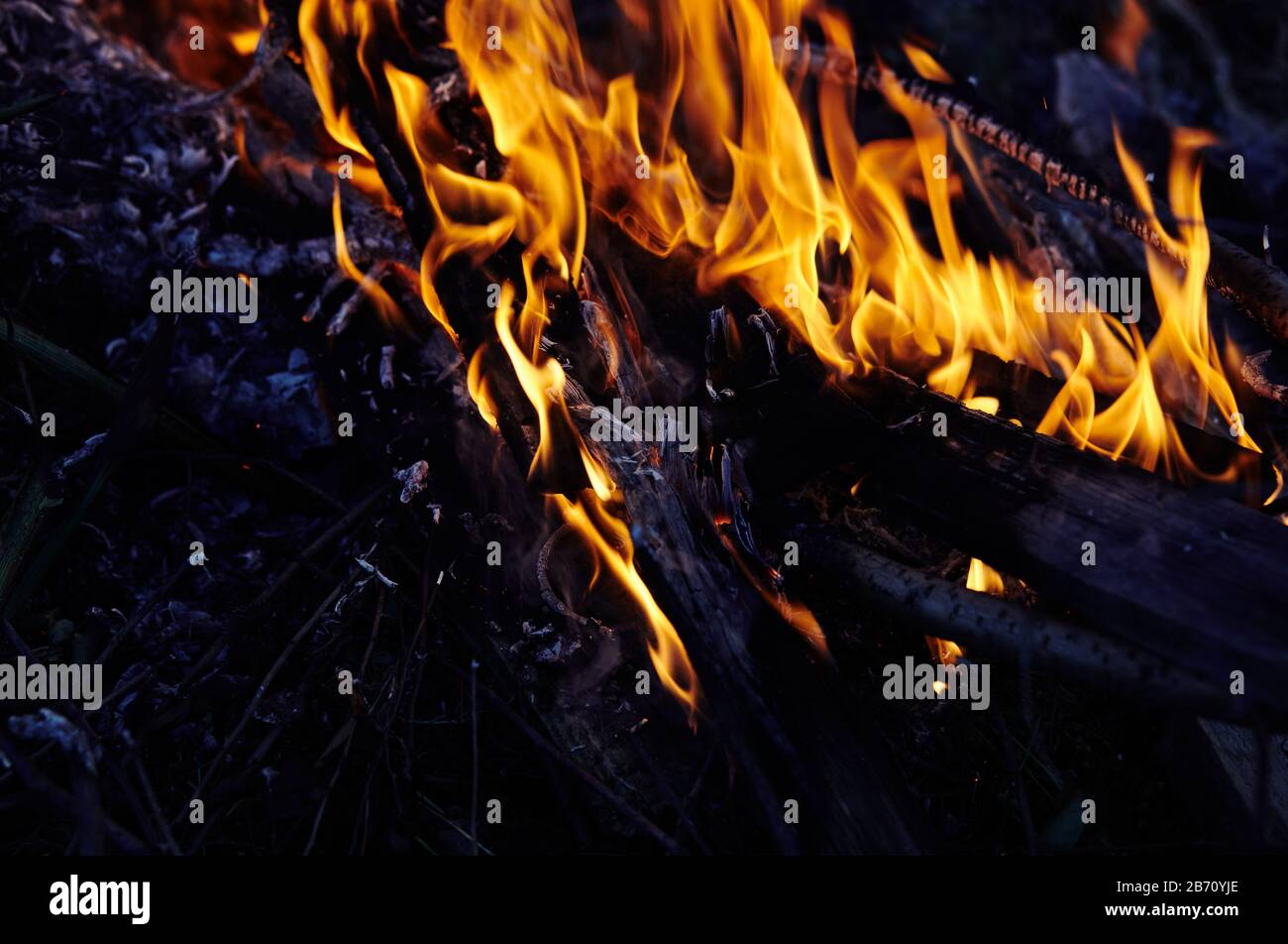 Orange flame of a fire. Arson or natural disaster. Fire in nature ...