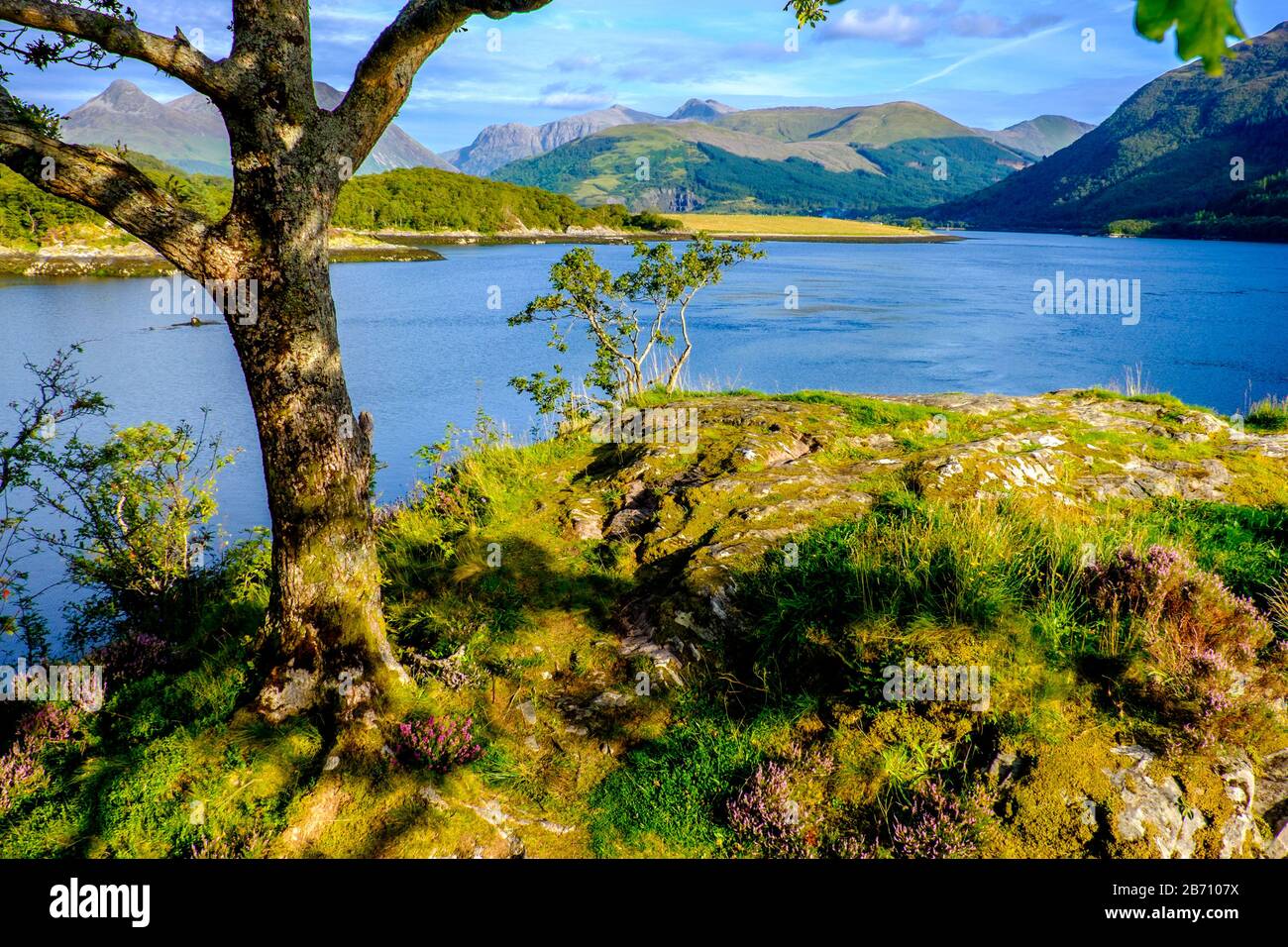 Leven coast hi-res stock photography and images - Alamy