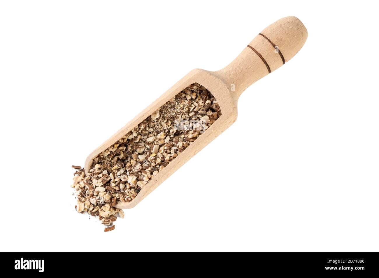 dandelion root or in latin Taraxaci radix in wooden scoop isolated on ...