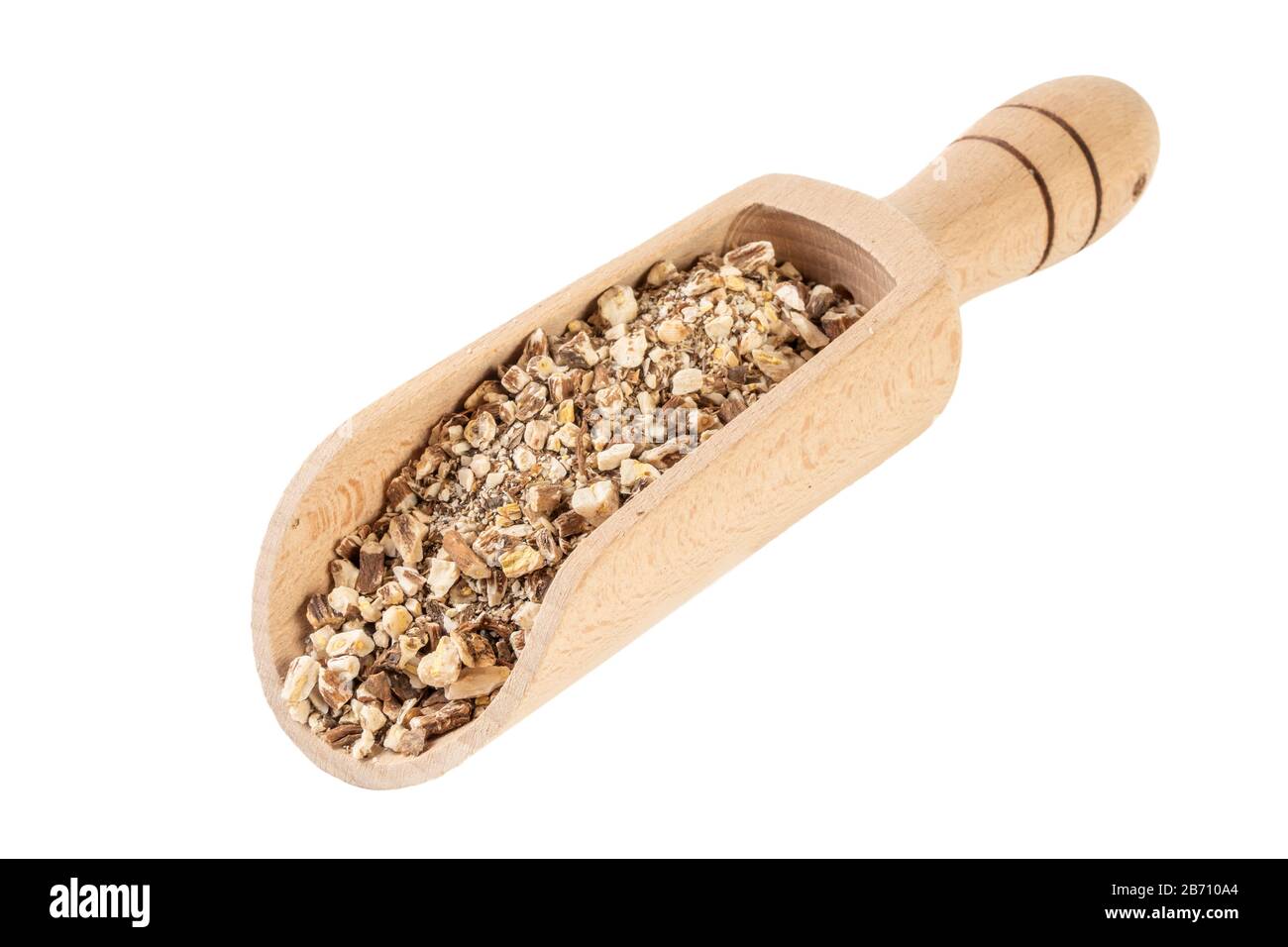 dandelion root or in latin Taraxaci radix in wooden scoop isolated on ...