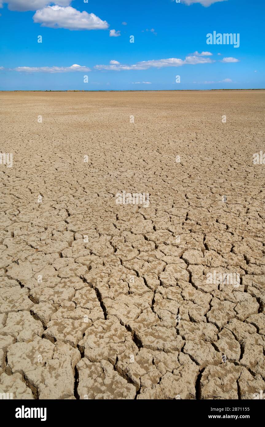 Dried mudflats looking like desert in Camargue, France Stock Photo - Alamy