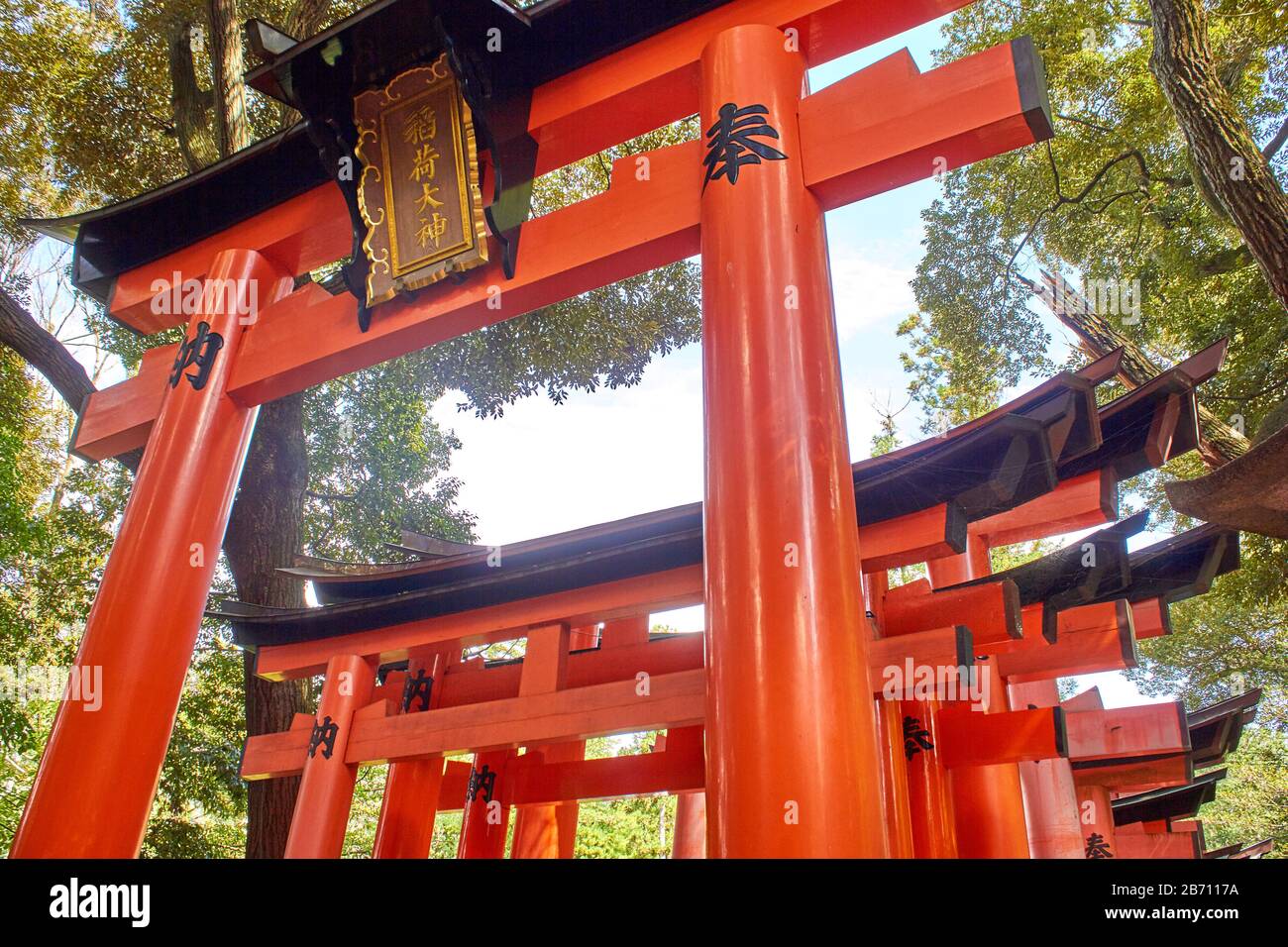 Torii gates in Fushimi inari shrine Stock Photo - Alamy