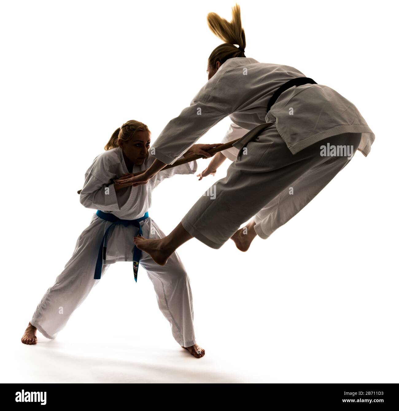 Kung fu stick fighter hi-res stock photography and images - Alamy