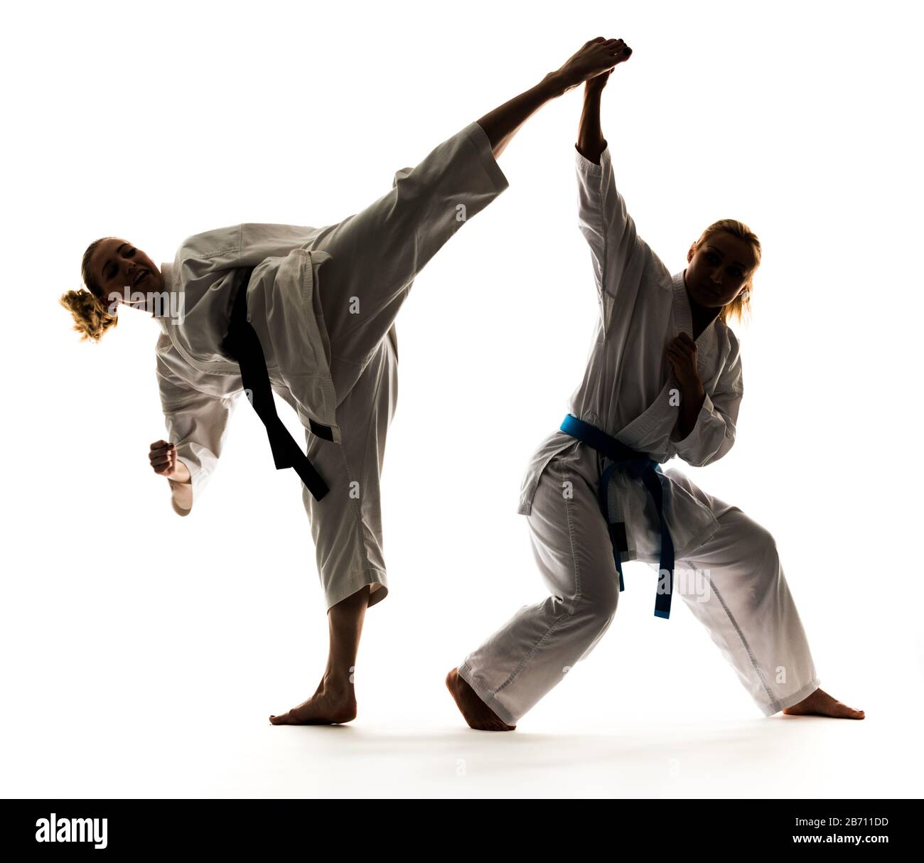 Girls Karate Fight Scene 2
