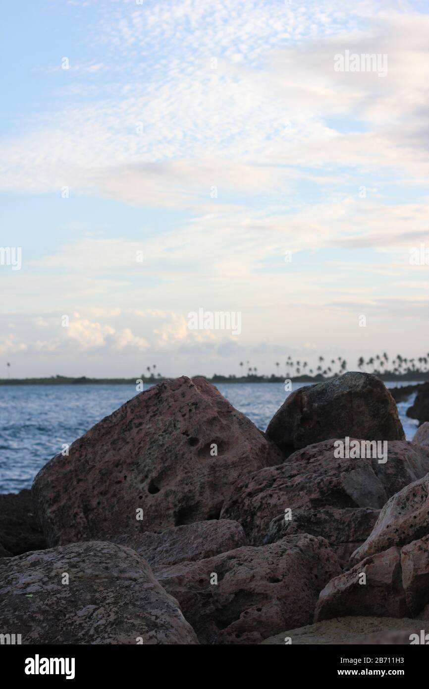 Tropical beach sunset with plants hi-res stock photography and images ...