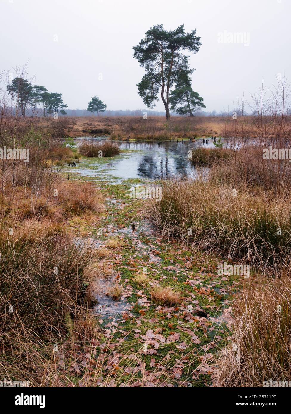 Venner hi-res stock photography and images - Alamy