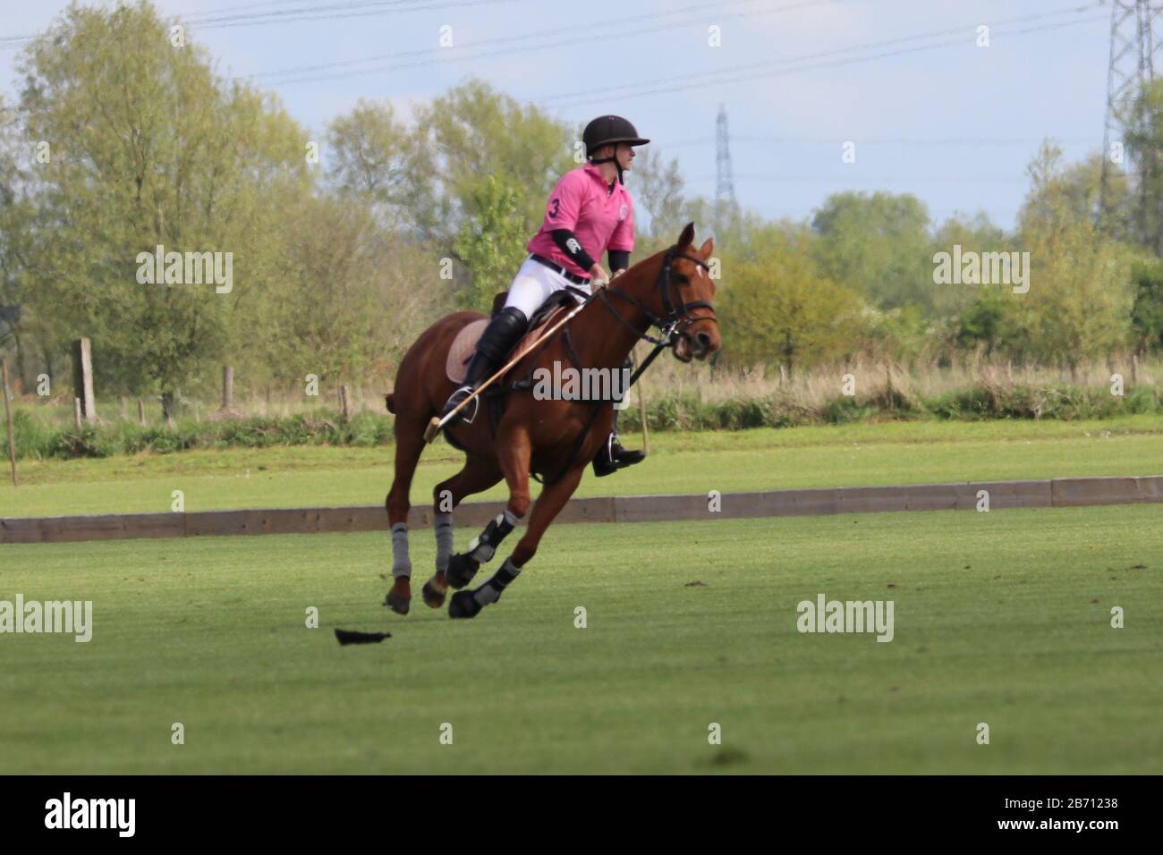 Polo player hi-res stock photography and images - Alamy