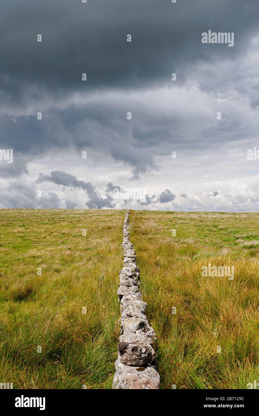 Mystical dartmoor hi-res stock photography and images - Alamy