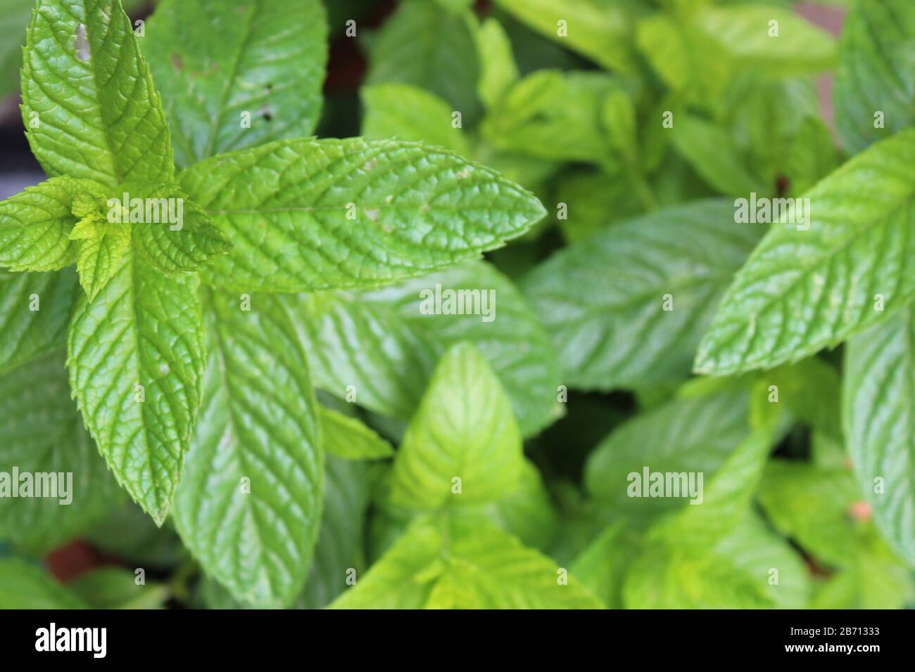 Wallpaper hd hi-res stock photography and images - Alamy