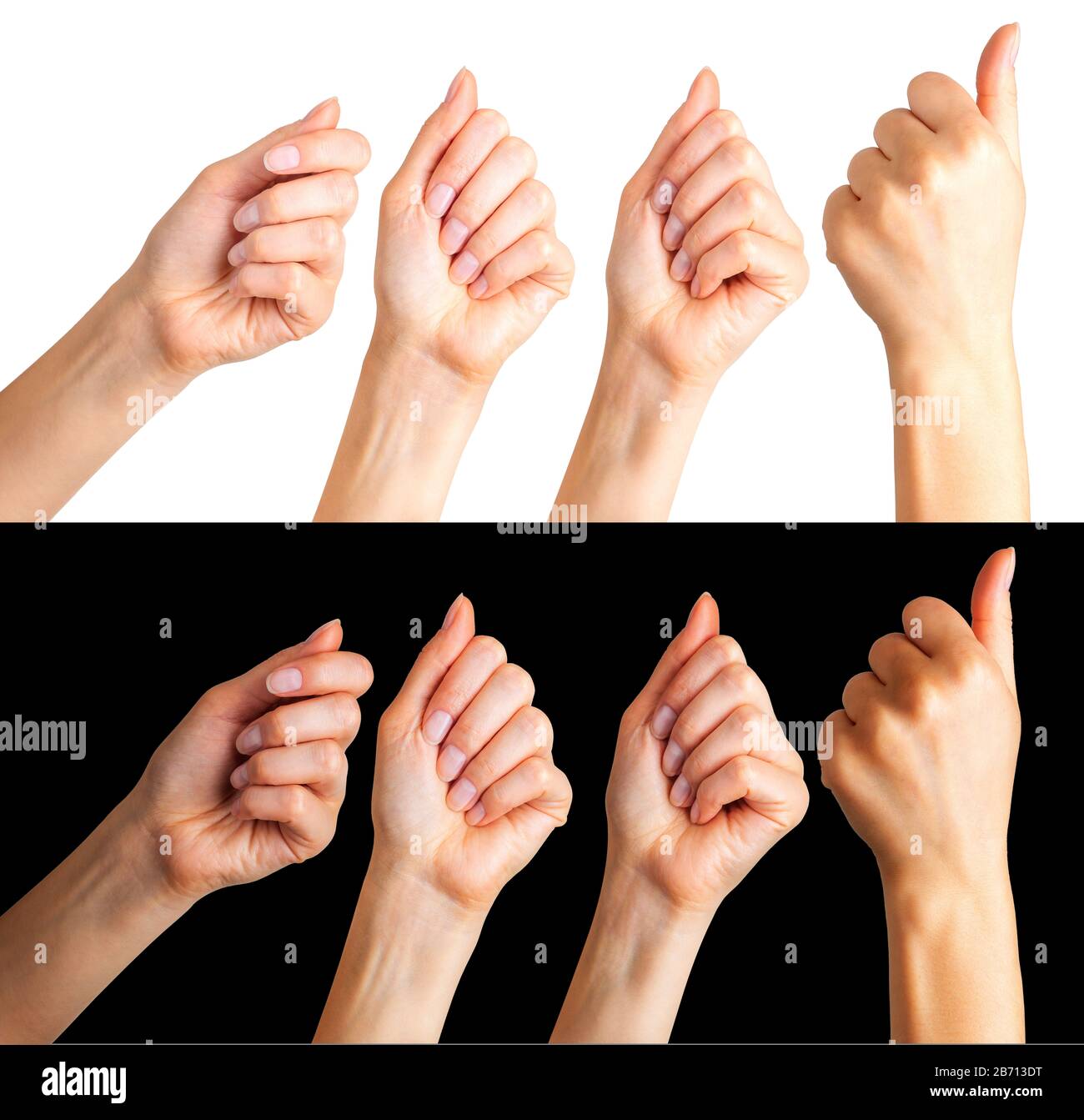 Set of woman clenched fist. Concept of unity, fight or cooperation ...