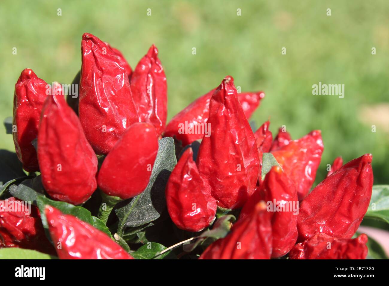 Hot hd hi-res stock photography and images - Alamy