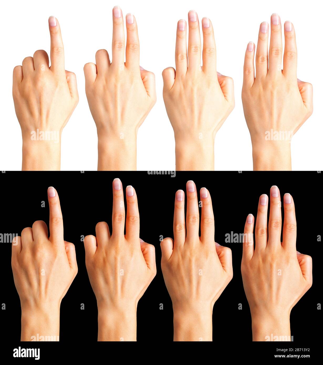 Set of woman hands count on fingers isolated on black and white ...