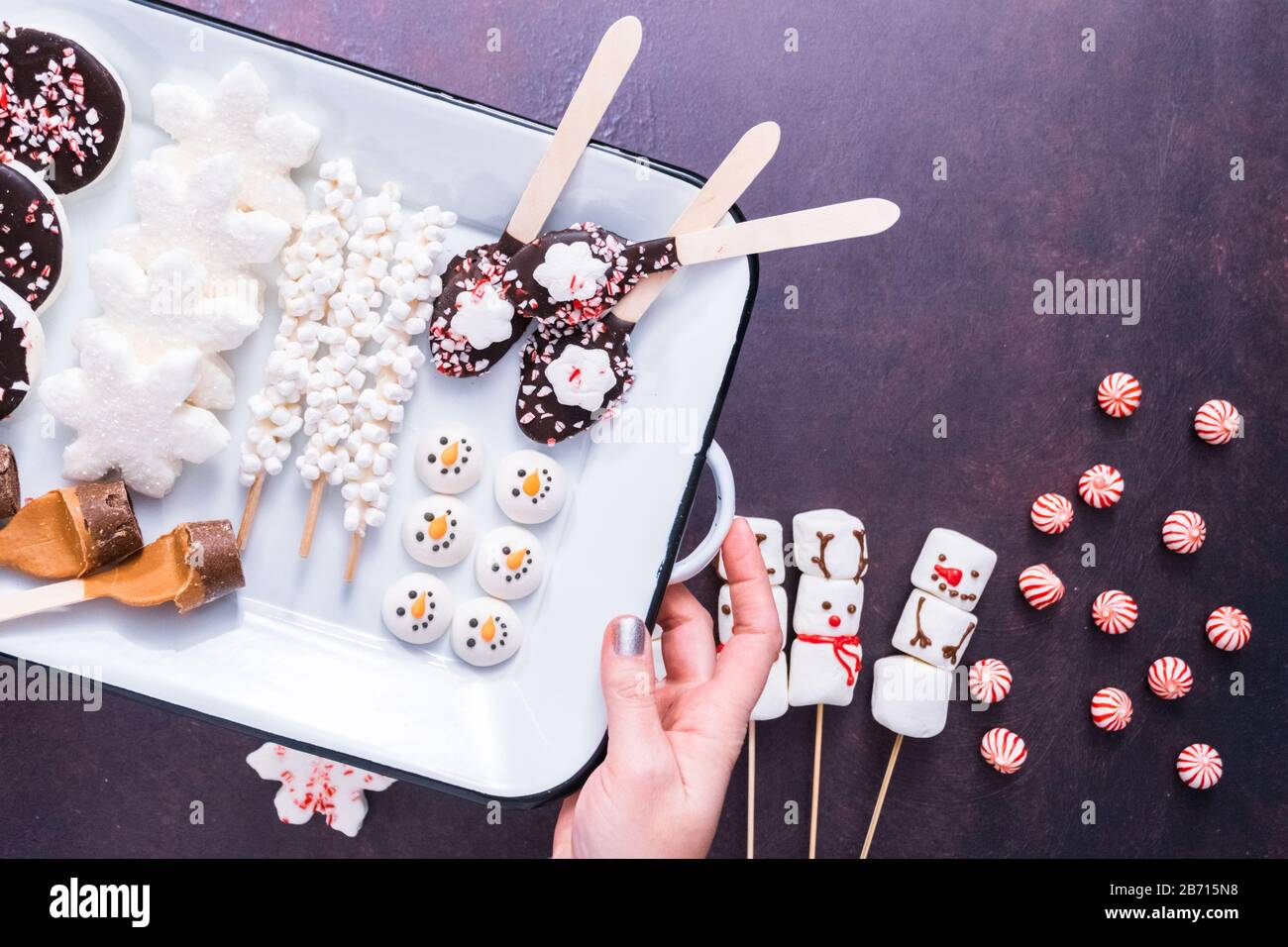 Flat lay. Variety of marshmallow toppings with peppermint and chocolate ...