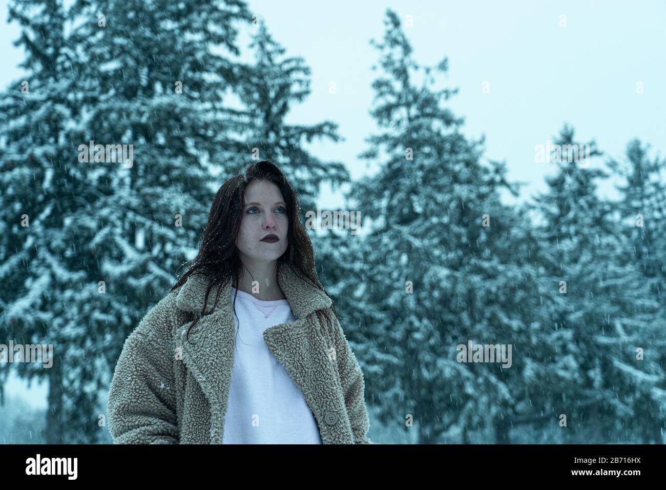 Canadian Winter Snowy Portraiture Photos, Beautiful Young Brunette ...