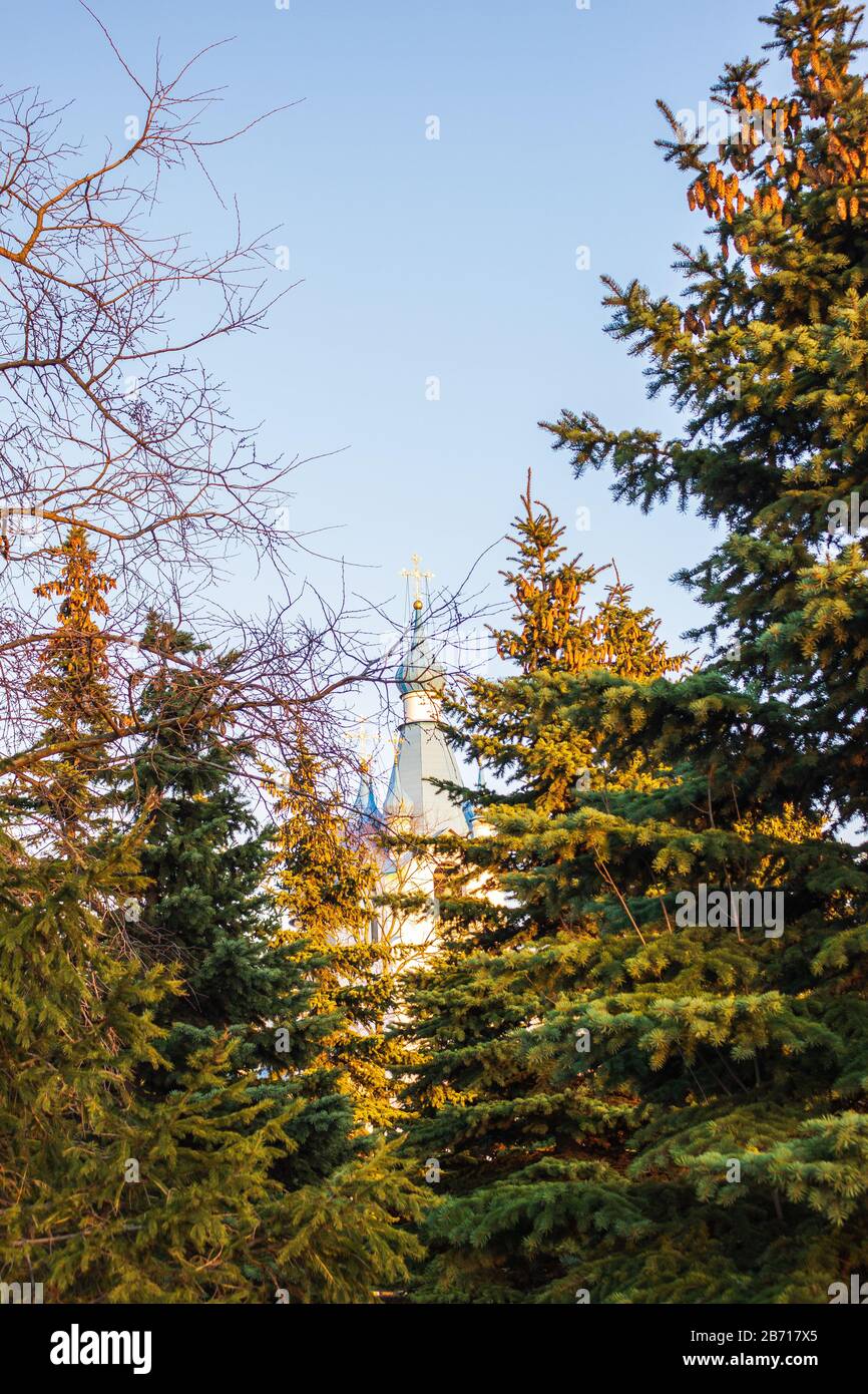 small Church in the Park through tree branches Stock Photo - Alamy
