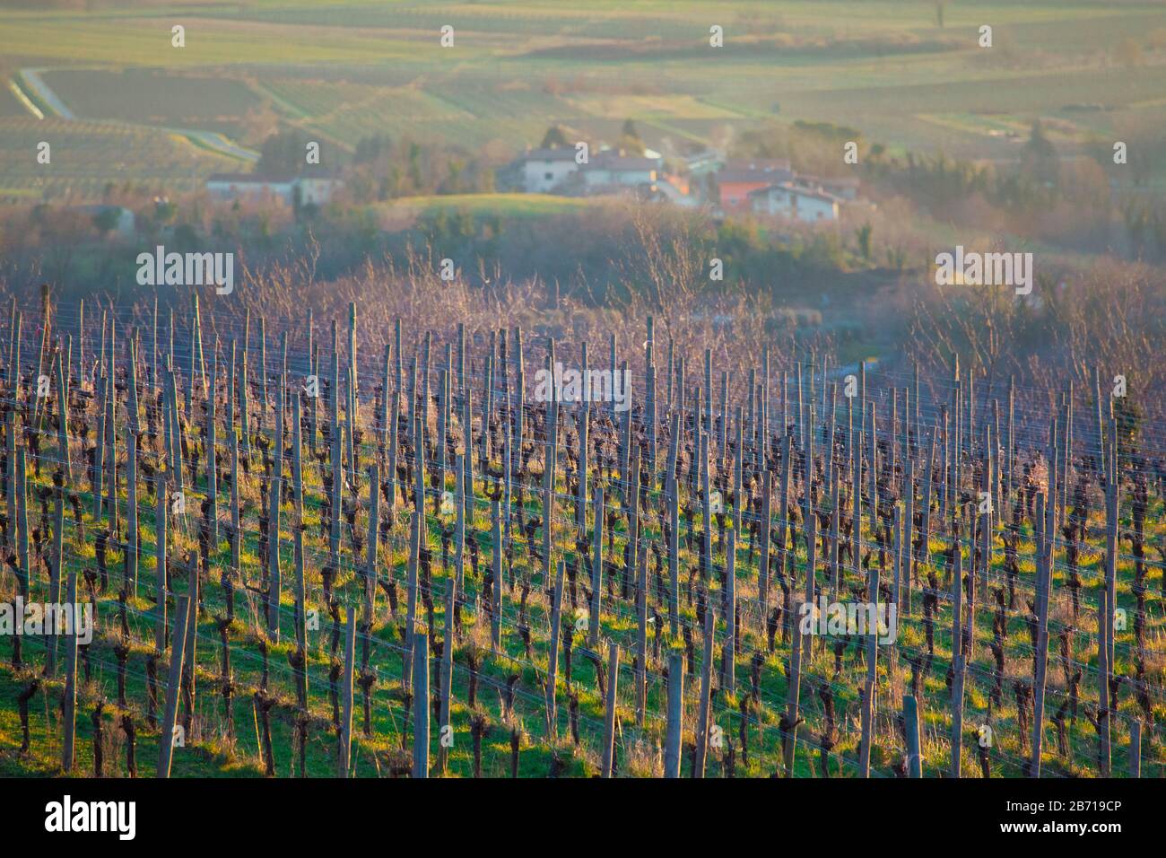 Brda slovenia and vineyards hi-res stock photography and images - Alamy