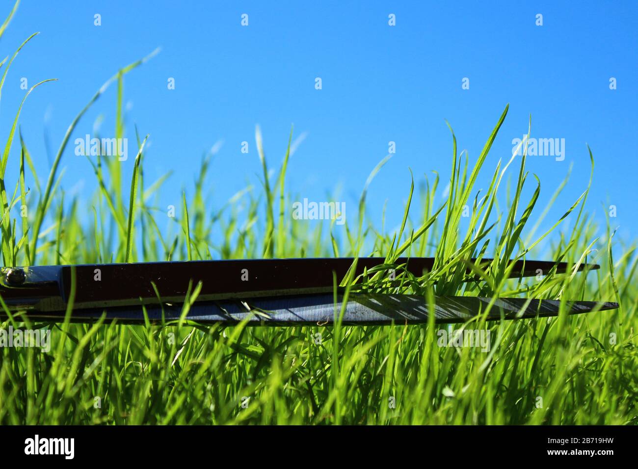 The picture shows grass and scissors in front of the blue sky Stock ...