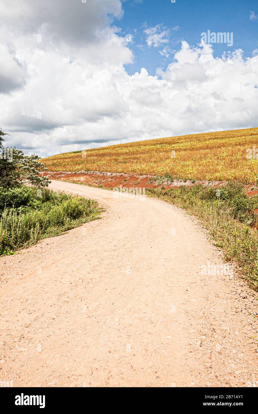 Dirt road crossing a soybean plantation. Dionisio Cerqueira, Santa ...